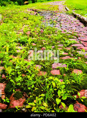 An old brick road and bridge turned into a park in Blaine OH Stock ...