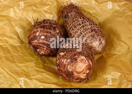Eddoe or Eddo a tropical root vegetable latin name Colocasia antiquorum ...