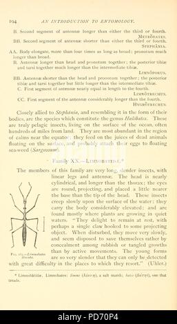 An introduction to entomology (Page 6 Stock Photo - Alamy