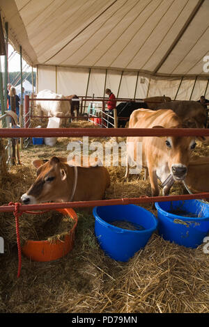 Frome Cheese Show 2006 Stock Photo - Alamy