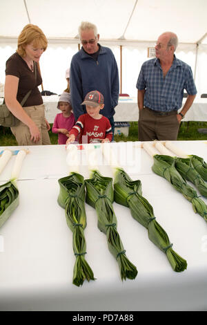 Giant Leeks at a vegetable show Stock Photo - Alamy