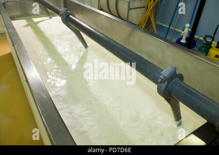 Whole cheddar cheese truckle of mature farmhouse cheddar cheese Stock ...