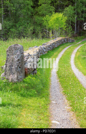 Road between grass in the landscape Stock Photo - Alamy
