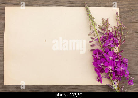 Blooming sally purple flowers with craft paper blank on old grunge ...