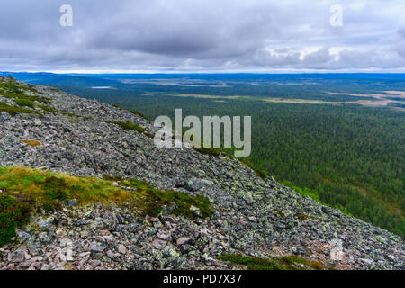 Landscape from the summit of Ukko-Luosto Fell, in Pyha-Luosto National ...