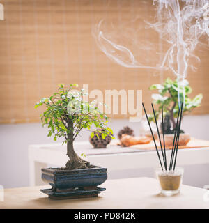 Beautiful bonsai tree with incense stick Stock Photo - Alamy