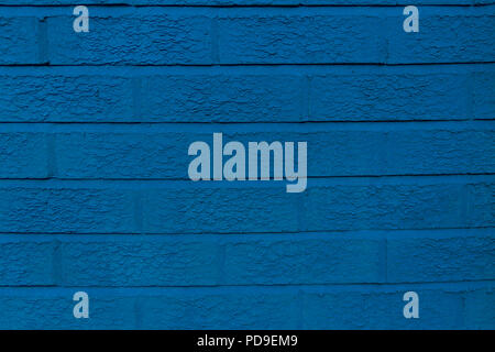 Closeup of the bluebonnet, blue, navy blue, dark blue,indigo, Sargasso ...