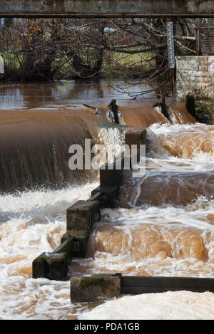 French Weir on the River Tone in Taunton Somerset UK Stock Photo - Alamy