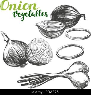 onion vegetable icon Stock Vector Image & Art - Alamy