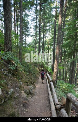 A man hiking alone, from behind, at Willamette National Forest in ...