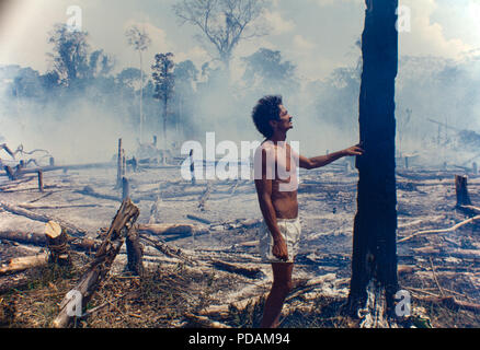 Deforestation of the Amazon rainforest. Patch of forest burnt to the ...