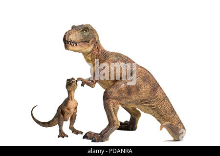 Tyrannosaurus rex with baby tyrannosaurus rex isolated on white ...