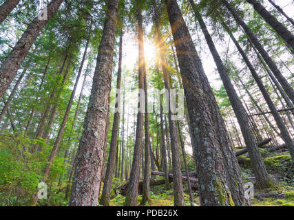 Canada with sunsets, waterfalls, night, stars, and lighthouse Stock ...