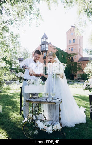 Beauty bride and handsome groom are cutting white wedding cake ...