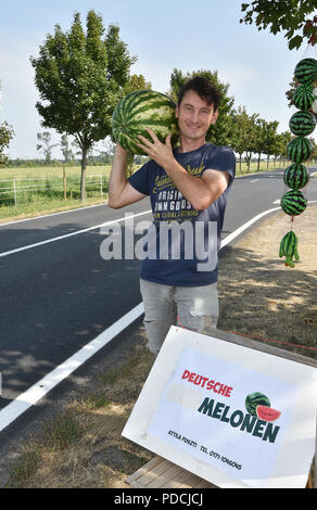 09 August 2018, Germany, Velten: Attila Pustti sells his harvested ...