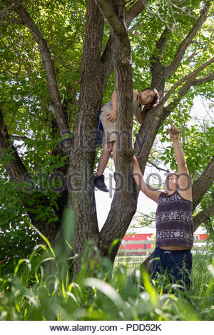 Brothers climbing lush green tree Stock Photo - Alamy