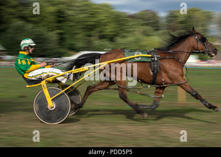 Jockey & Sulky Cart with Race Horse Stock Photo: 26673218 - Alamy