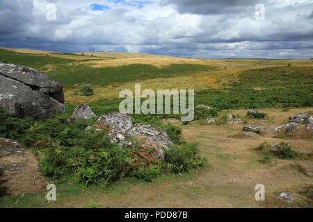 View from Bonehill Rocks, Dartmoor, Devon, England Stock Photo - Alamy