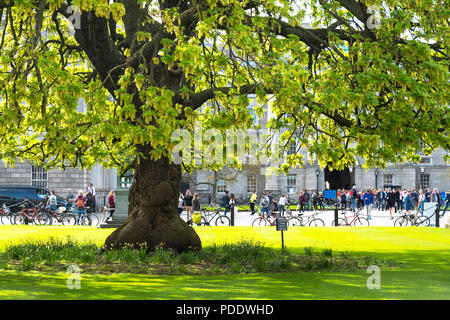 Springtime in Library Square of Trinity Stock Photo - Alamy