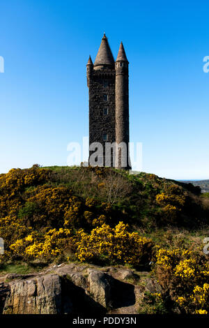 Scrabo Tower on top of Scrabo Hill above Newtownards, County Down ...