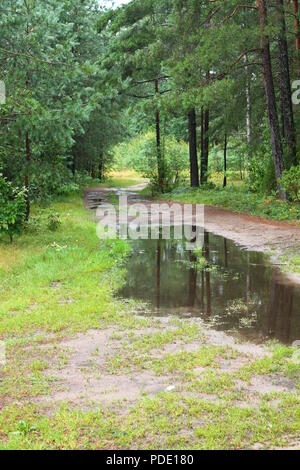 beautiful and unique wild nature of Belarus country amazing landscape ...