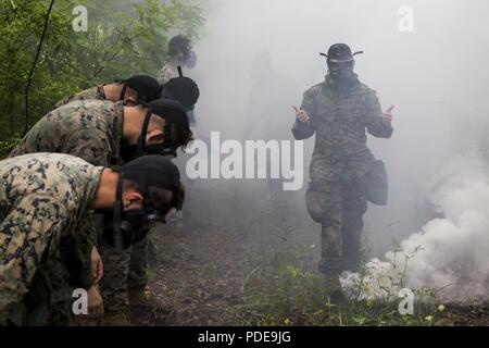 A U.S. Marine with Headquarters Company, Chemical Biological Incident ...