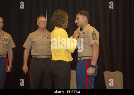 Navy Aircrew Insignia Stock Photo - Alamy