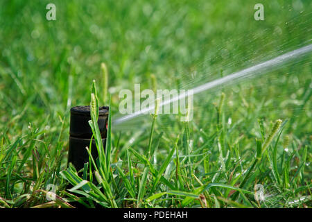 Sprinkler system watering grass in park, splash water Stock Photo - Alamy