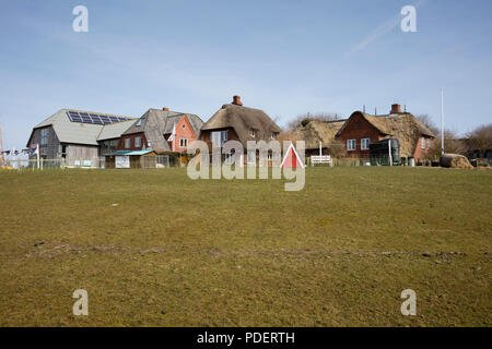 Village Hanswarft, Hallig Hooge, North Frisia, Schleswig-Holstein ...