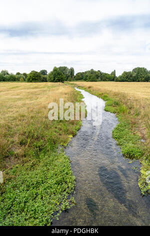 Harnham Water Meadows Stock Photo - Alamy