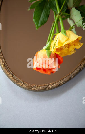 Roses Mirror Reflection Stock Photo - Alamy