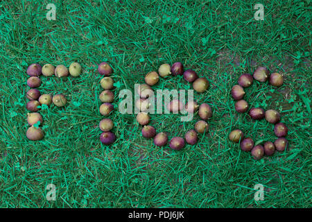Fig word written with real figs on the grass Stock Photo - Alamy