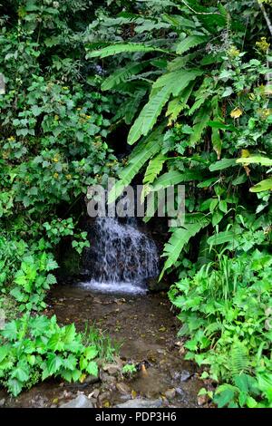 LA ZUNGA - Ecuador border -San Ignacio- Department of Cajamarca .PERU ...