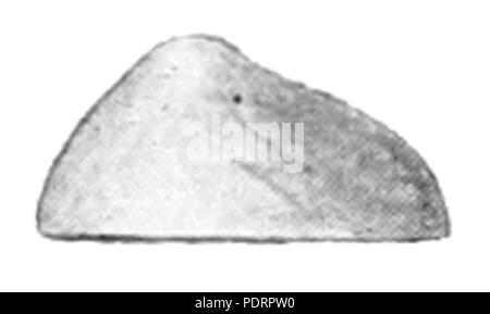 128 Scenella tenuistriata Stock Photo - Alamy