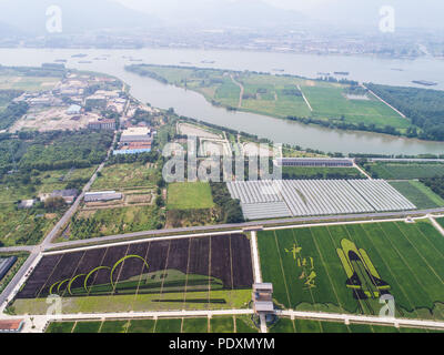 Fuyang, China's Zhejiang Province. 11th Aug, 2018. Tourists pick grapes ...