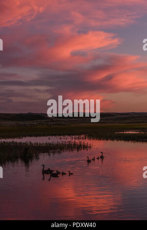 Sunset in Hayden Valley, Yellowstone National Park Stock Photo - Alamy