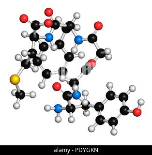 Met-enkephalin endogenous opioid peptide molecule. Stylized skeletal ...