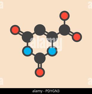 Orotic acid molecule. Stylized skeletal formula (chemical structure ...