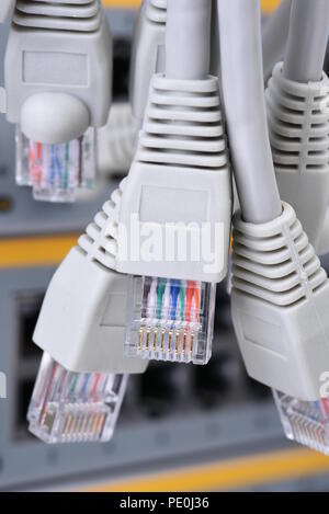 Network ethernet cable with RJ45 connectors on white background Stock ...