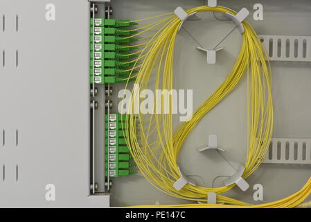 Fibre optic networking patch panel with 12 SC ports from a front view ...