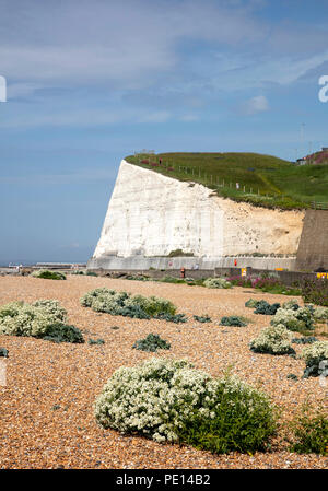 Saltdean Beach East Sussex Stock Photo - Alamy