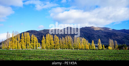 Autumn scenery of Haast Township, South Island, New Zealand Stock Photo ...
