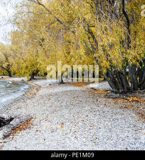 Autumn scenery of Haast Township, South Island, New Zealand Stock Photo ...