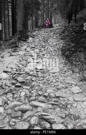 Horror background of a ghostly figure in enchanted a forest on a moody ...