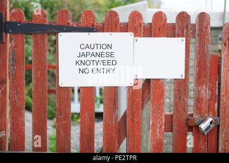 Caution Japanese Knotweed sign Stock Photo - Alamy