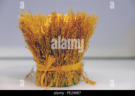 Bunch of flax Golden color. Kitchen decor on a light background Stock ...