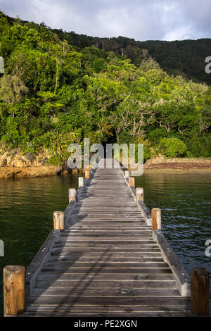 Ship's Cove in the Marlborough Sounds, New Zealand Stock Photo - Alamy