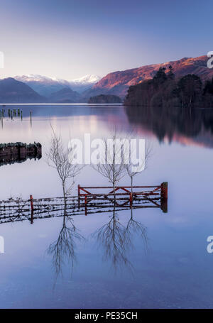 Sunken gate and trees reflecting in Derwent Water with snow capped ...