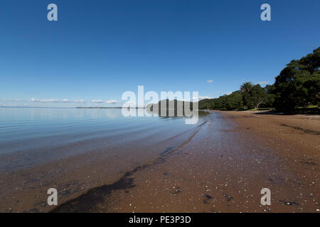 Cornwallis Beach, west Auckland Stock Photo - Alamy