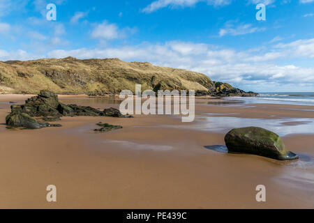 Hackley Bay beach and bay in Forvie Nature Reserve Stock Photo - Alamy